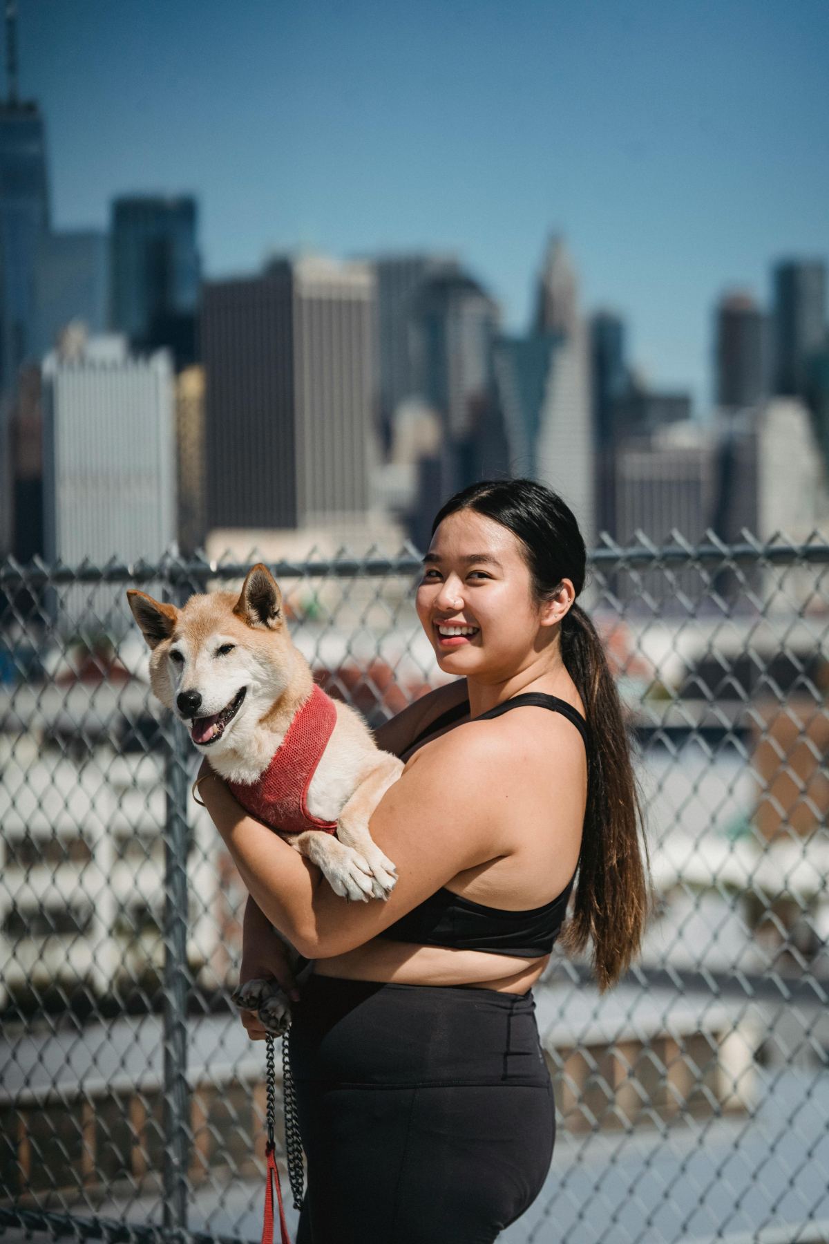 CDMX: ¿Te pueden multar por dejar a tu perro solo en casa? - Petlife