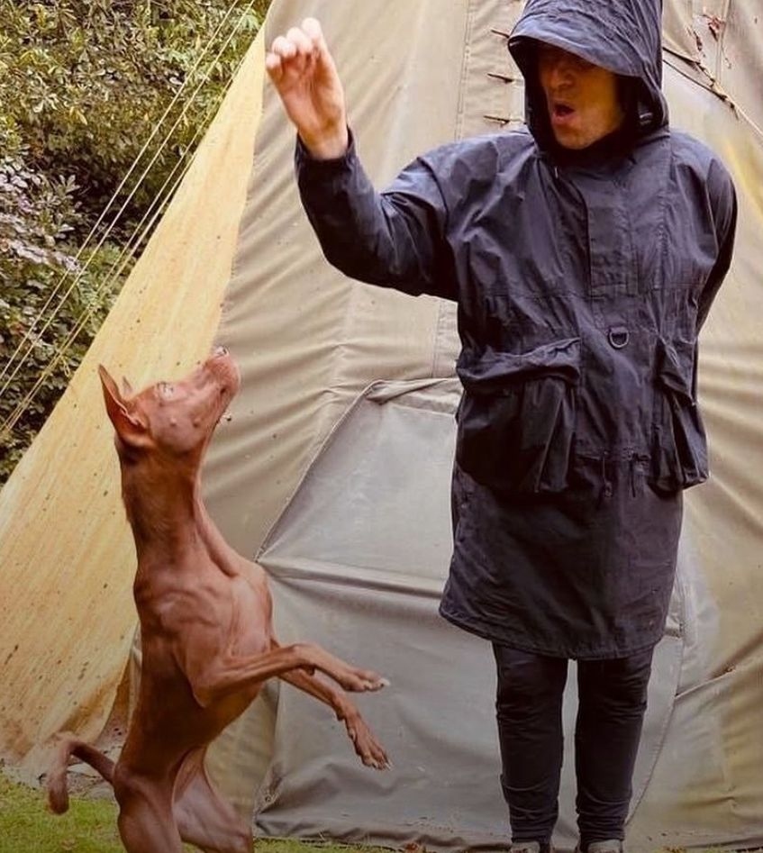Conoce a Buttons, la perrita de Liam Gallagher, cantante de Oasis - Petlife